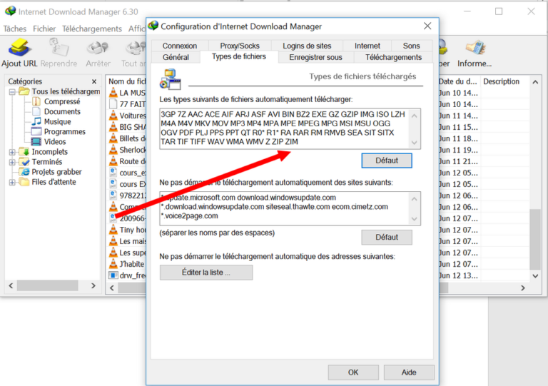 Comment télécharger n’importe quel type de fichier avec IDM